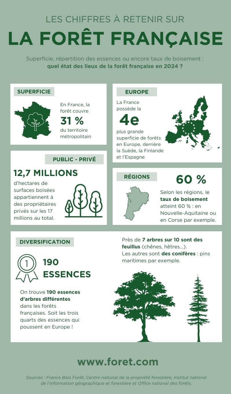 La forêt en France : 7 chiffres clés à connaître